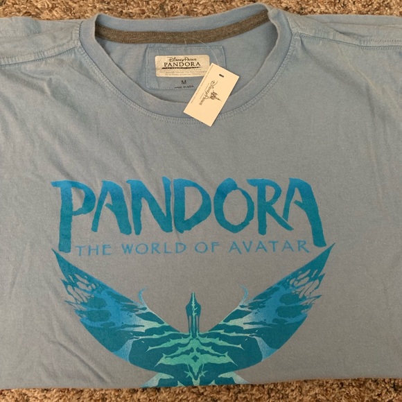Disney | Tops | Limited Edition World Of Avatar Shirt Disney World ...